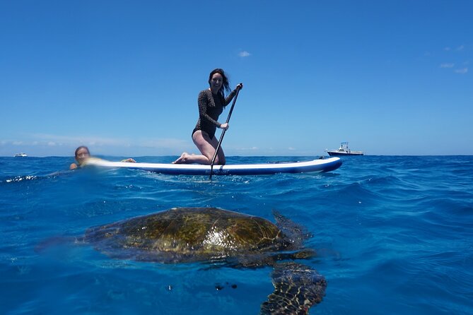 Deluxe Catamaran Swim with Dolphins in Oahu with Waterslide - Final Thoughts