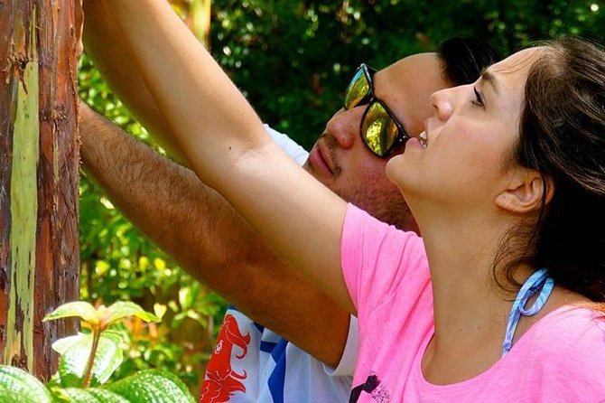 Deluxe Halfway to Hana: Private Tour from Kahului - The Sum Up