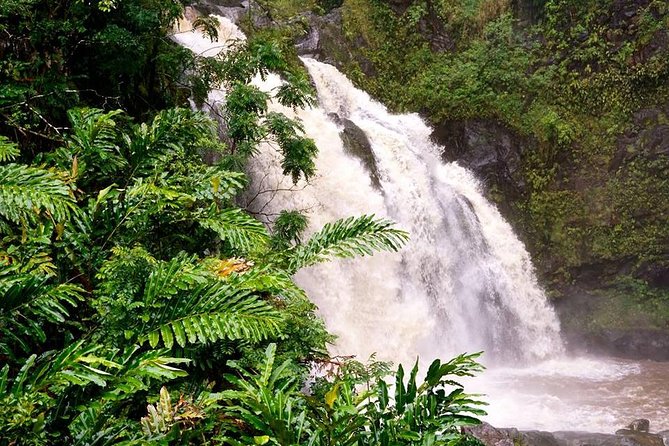 Deluxe Halfway to Hana: Private Tour from Kahului - FAQ