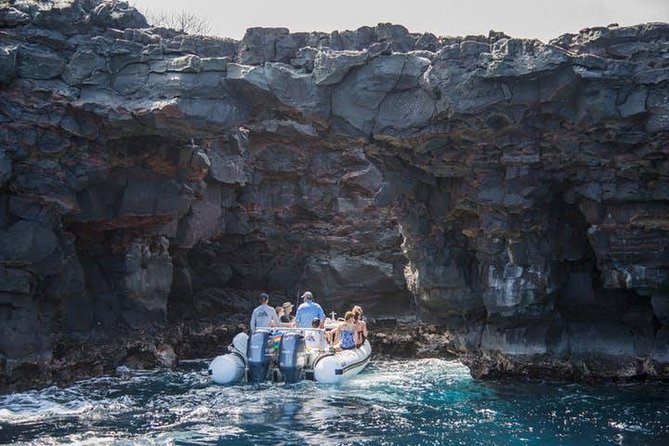 Deluxe Morning Snorkeling Adventure - The Experience: What You Can Expect