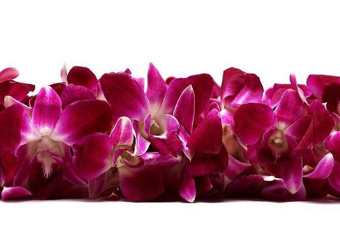 Deluxe Orchid Lei Greeting (Maui, Kahului Airport, OGG) - Introducing the Deluxe Orchid Lei Greeting at Maui’s Kahului Airport