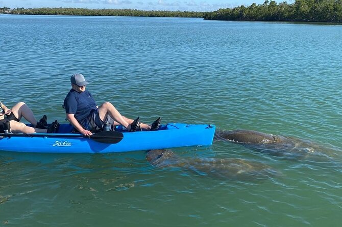 Deluxe Pedal Kayak Tour Marco Island and Naples, Florida - What Is the Deluxe Pedal Kayak Tour?