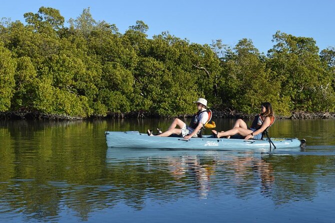Deluxe Pedal Kayak Tour Marco Island and Naples, Florida - What’s Included & What’s Not