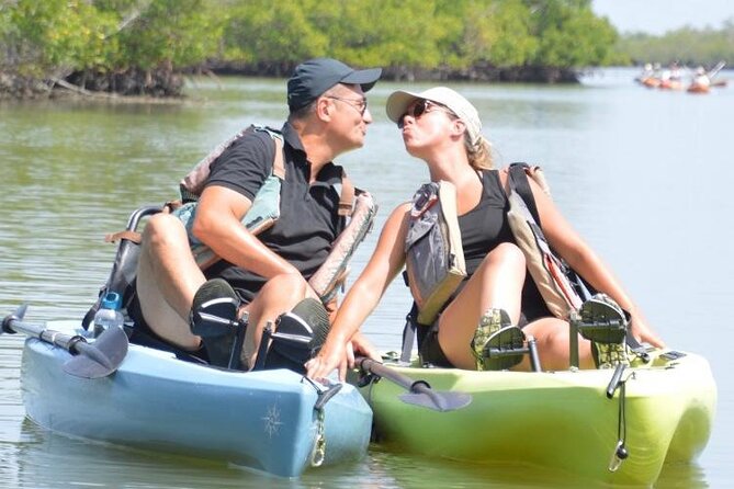 Deluxe Pedal Kayak Tour Marco Island and Naples, Florida - Who Will Love This Tour?