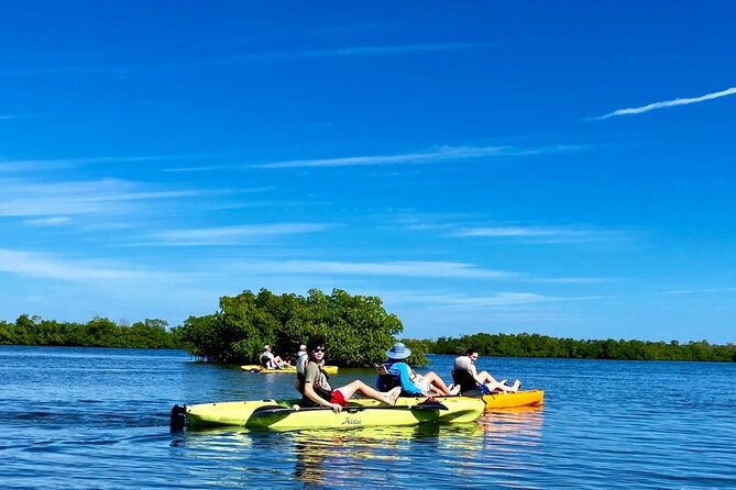 Deluxe Pedal Kayak Tour Marco Island and Naples, Florida - Final Thoughts