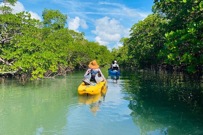 Deluxe Pedal Kayak Tour Marco Island and Naples, Florida - FAQ