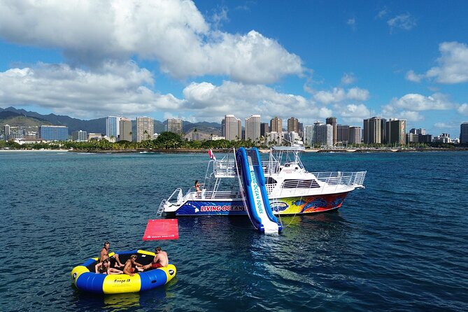 Deluxe Snorkel and Wildlife Cruise in Waikiki - The Value of This Experience