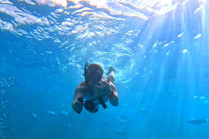 Deluxe Turtle Snorkeling Escapade at Waikiki - The Role of the Guides