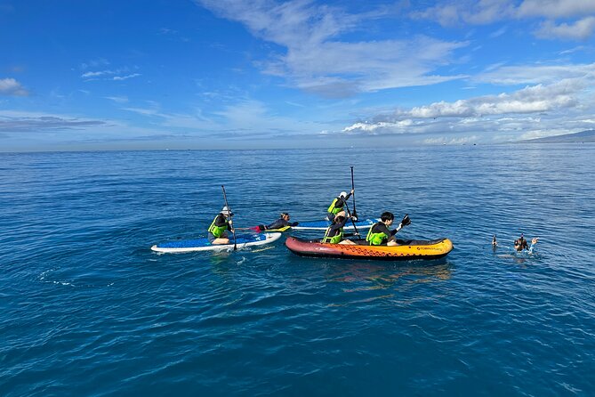 Deluxe Turtle Snorkeling Escapade at Waikiki - Food, Drinks, and Comfort