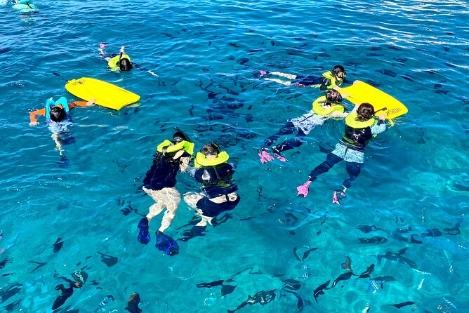 Deluxe Turtle Snorkeling Escapade at Waikiki - What to Keep in Mind