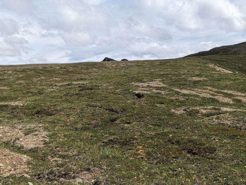 Denali: 5 Hour Guided Into The Mountains Hiking Tour - Introduction