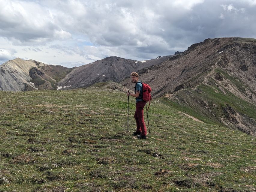 Denali: 5 Hour Guided Into The Mountains Hiking Tour - The Experience: What to Expect