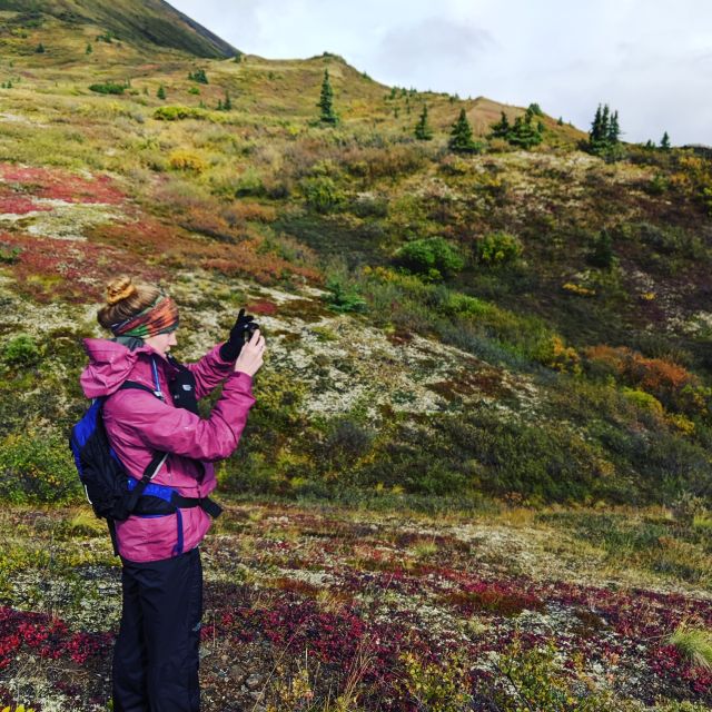 Denali: 5-Hour Guided Wilderness Hiking Tour - The Itinerary: What You Can Expect