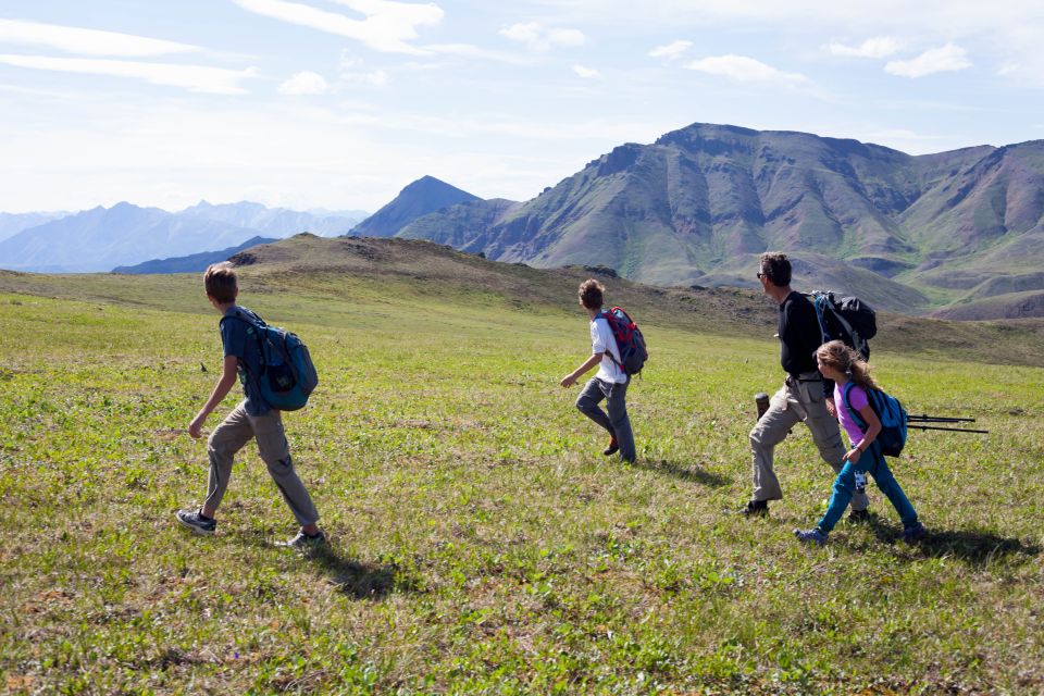 Denali: 5-Hour Guided Wilderness Hiking Tour - Group Size and Booking Practicalities