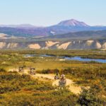 Denali: ATV Trailblazer Tour - The Guides and Their Expertise