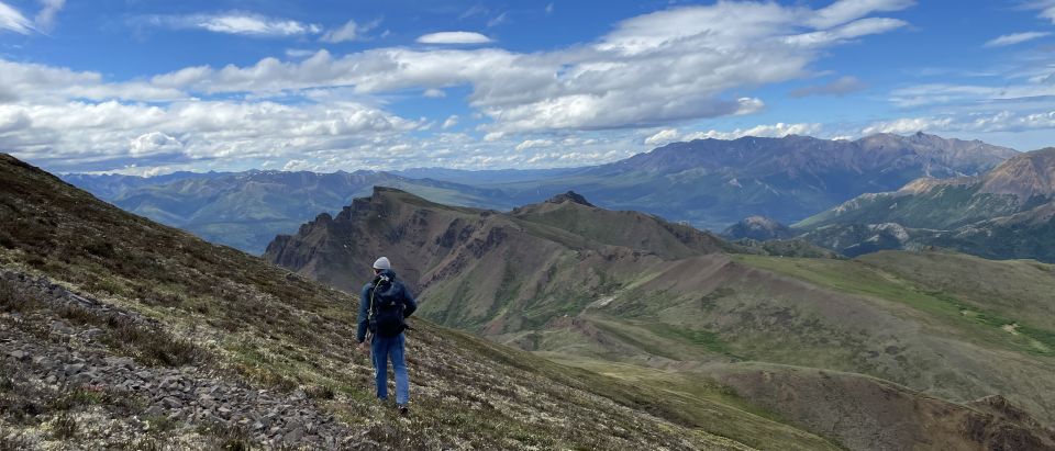 Denali: Denali National Park Walking Tour - What to Expect from the Denali National Park Walking Tour