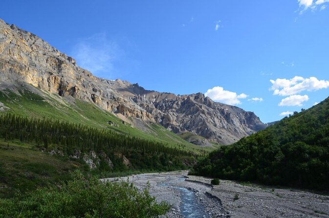 Denali Grand Flightseeing Tour from Talkeetna - Denali Grand Flightseeing Tour from Talkeetna: An In-Depth Review