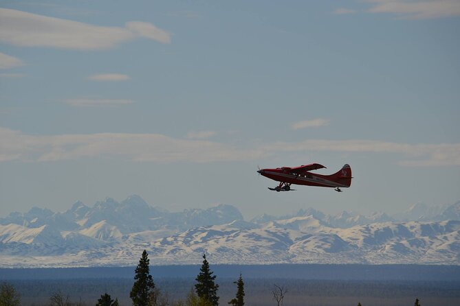 Denali Grand Flightseeing Tour from Talkeetna - An Up-Close Look at the Denali Flightseeing Experience