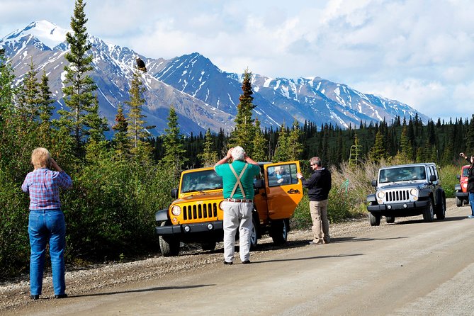 Denali Highway Jeep Excursion - The Pros and Cons of the Experience