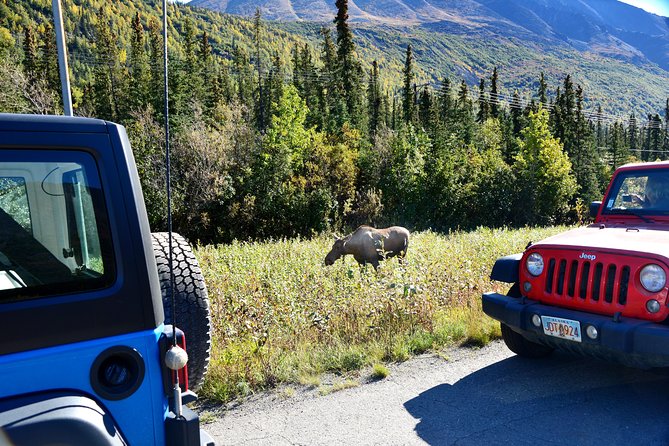 Denali Highway Jeep Excursion - Value for Money