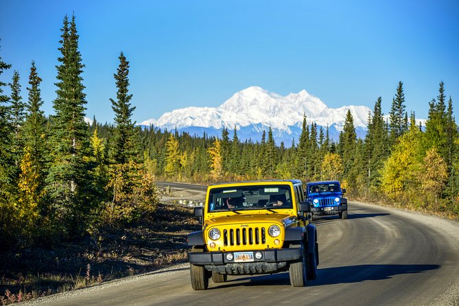Denali Highway Jeep Excursion - Who Is This Tour Best For?