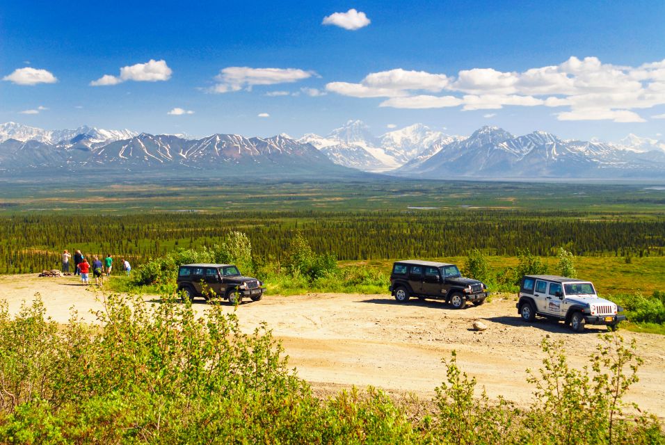 Denali Highway Jeep Excursion - The Vehicle and Group Experience