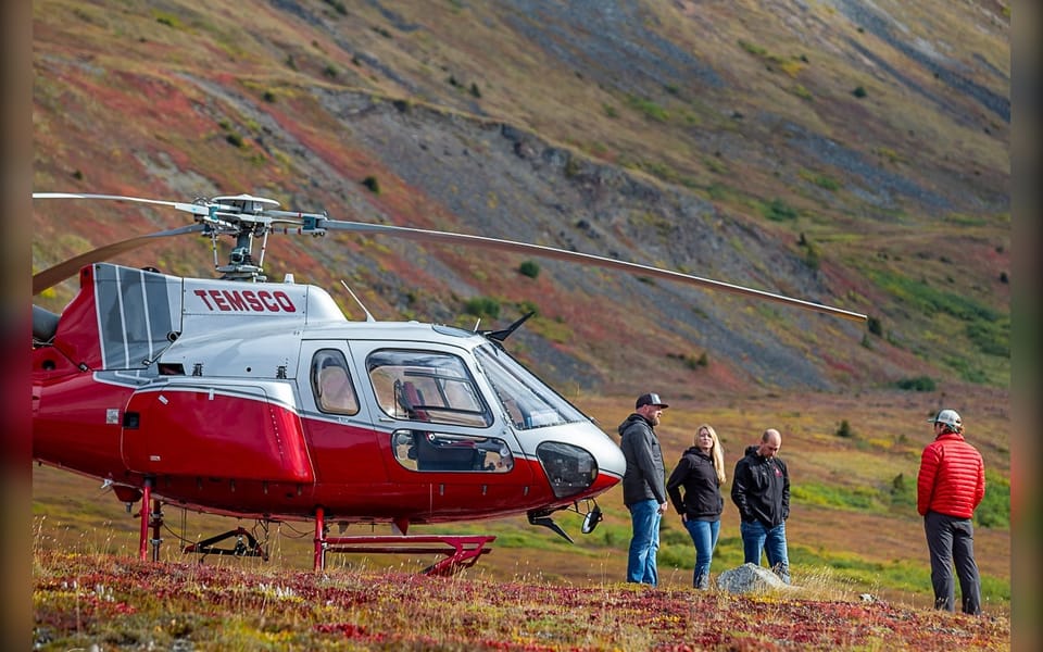 Denali National Park: Helicopter and Hike Adventure - Authentic Insights from Past Participants