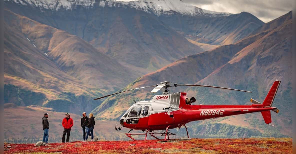 Denali National Park: Helicopter and Hike Adventure - An In-Depth Look at the Experience