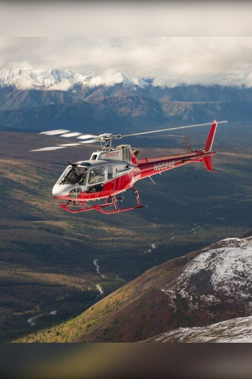 Denali National Park: Helicopter and Hike Adventure - Authentic Experiences and Reviewer Insights