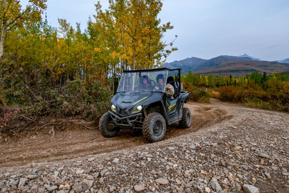 Denali National Park: Wilderness ATV Adventure - Key Points