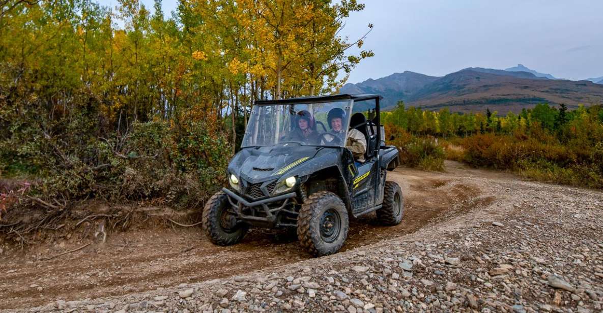 Denali National Park: Wilderness ATV Adventure - What to Expect from This Wilderness ATV Adventure