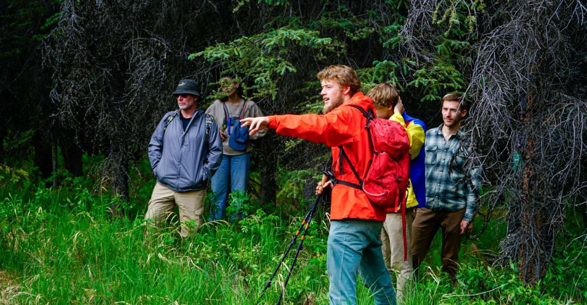 Denali: Naturalist Walking Tour in Denali National Park - Key Points
