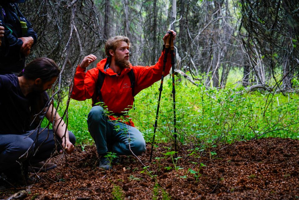Denali: Naturalist Walking Tour in Denali National Park - An In-Depth Look at the Denali Naturalist Walking Tour