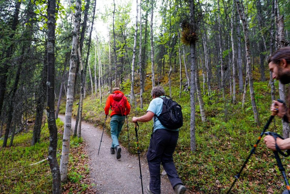 Denali: Naturalist Walking Tour in Denali National Park - The Benefits of a Guided Nature Walk