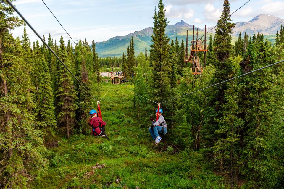 Denali Park Zipline Adventure - An In-Depth Look at the Denali Park Zipline Adventure