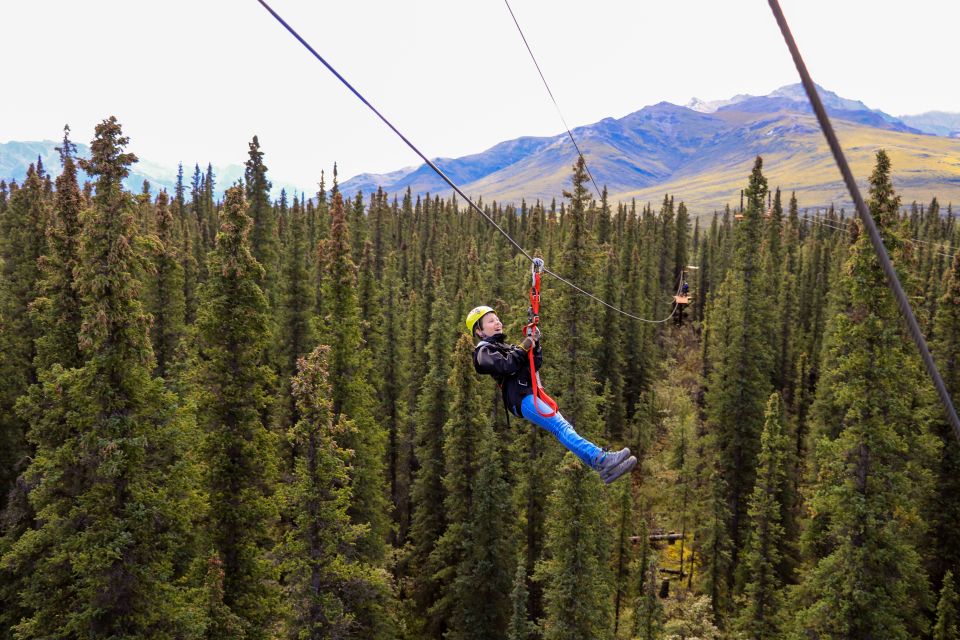 Denali Park Zipline Adventure - Who Will Love This Experience?