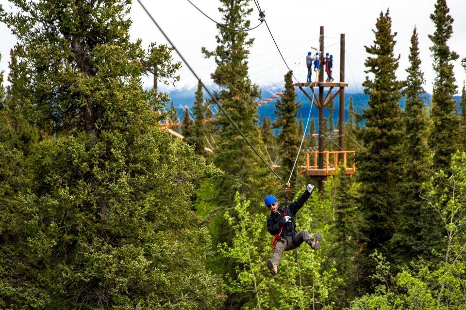 Denali Park Zipline Adventure - Final Thoughts: Is It Worth It?