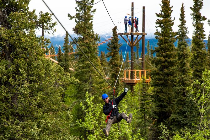 Denali Park Zipline Adventure - The Zipline Course: A Mix of Thrills and Views