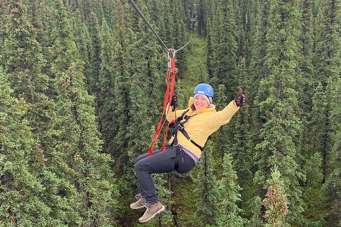 Denali Park Zipline Adventure - The Experience in Action: Real Traveler Insights