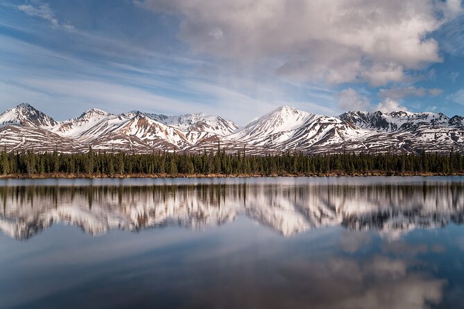 Denali Photo Excursion - The Experience: What You Can Expect on the Denali Photo Excursion