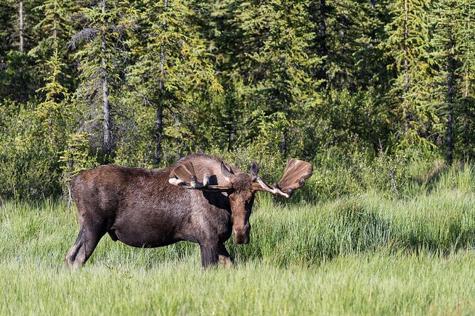 Denali Photo Excursion - The Itinerary: Where the Magic Happens