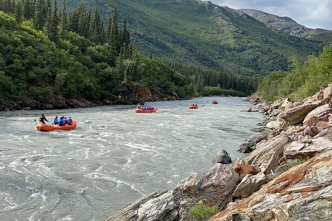 Denali Rafting Wilderness Wave - Highlights and Scenic Stops