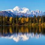 Denali State Park: Guided Byers Lake Kayaking Tour - Why This Tour Offers Great Value
