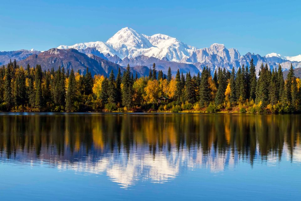 Denali State Park: Guided Byers Lake Kayaking Tour - Why This Tour Offers Great Value