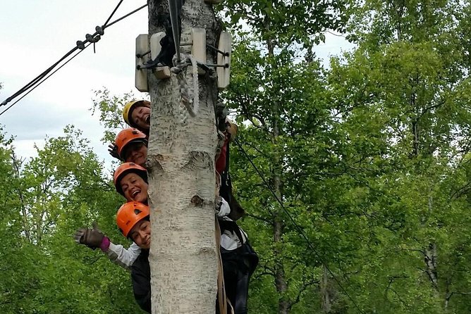 Denali Zipline Tour in Talkeetna, AK - The Itinerary: A Closer Look