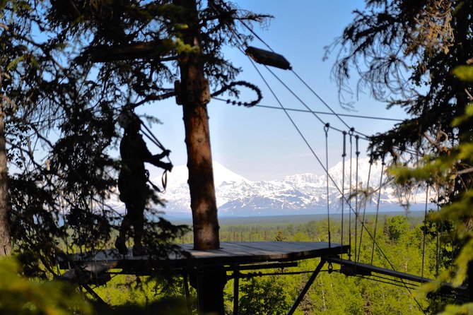 Denali Zipline Tour in Talkeetna, AK - Guides and Safety