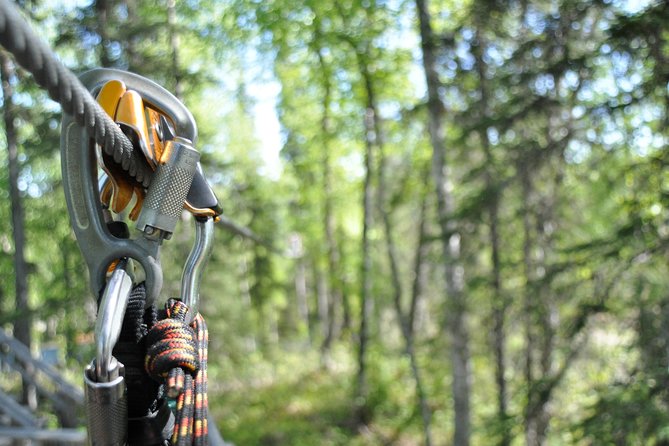Denali Zipline Tour in Talkeetna, AK - Practical Details: What You Need to Know