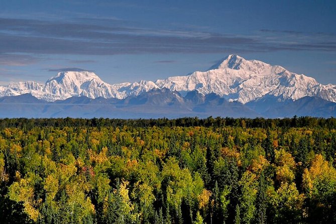Denali Zipline Tour in Talkeetna, AK - Why Is It Worth It?