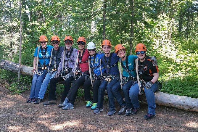 Denali Zipline Tour in Talkeetna, AK - The Sum Up