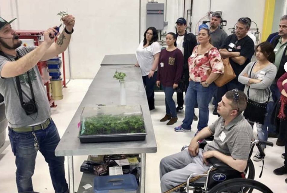 Denver: Cannabis Tour with Grow Facility Access - The Experience of the Guides & Customer Service